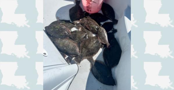 Three Louisiana Men Cited for Flounder Violations by LDWF | Calcasieu ...